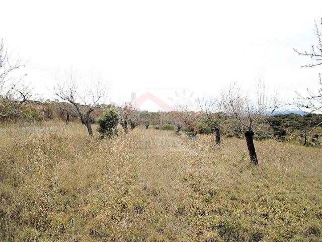 FINCA RUSTICA 32 HECTAREAS ZONA ALQUEZAR - Iberkasa